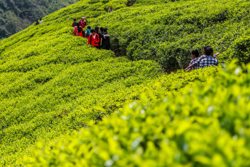 Nepal Traveller | Nepal's most visited website | A website that is ...