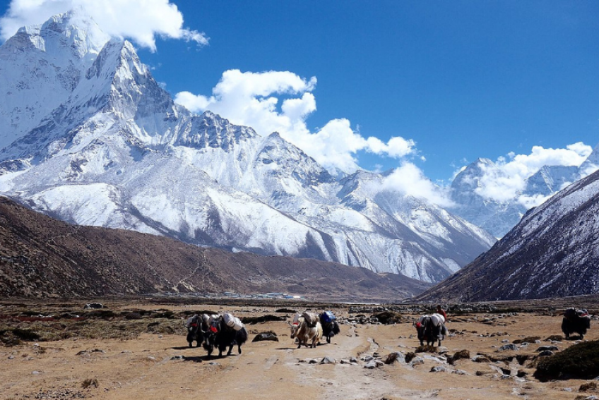Nepal Traveller | Nepal's most visited website | A website that is ...