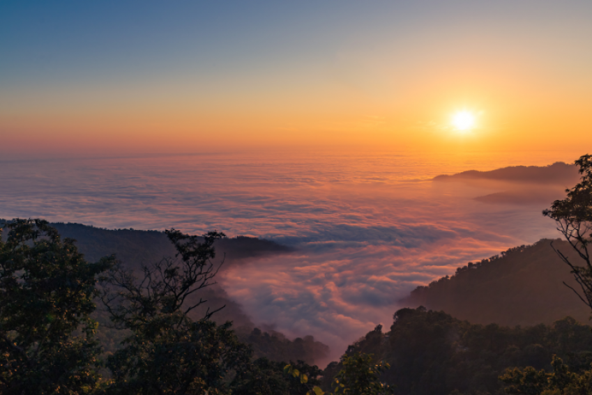 Nepal Traveller | Nepal's most visited website | A website that is ...
