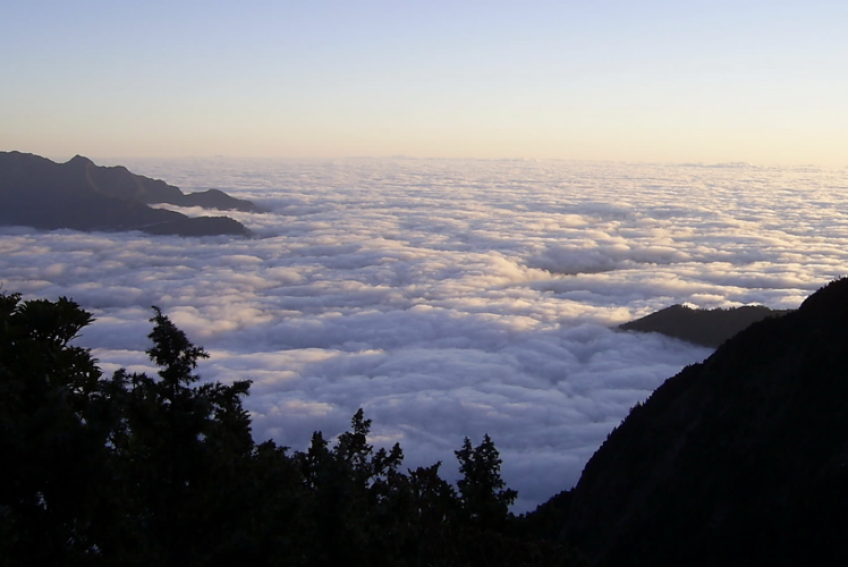 Nepal Traveller | Nepal's most visited website | A website that is ...