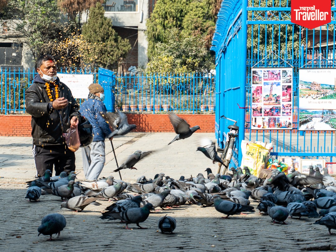 Nepal Traveller | Nepal's most visited website | A website that is ...