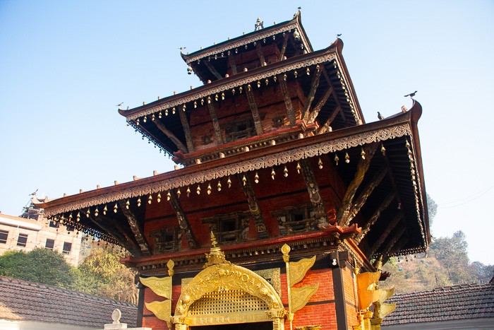 Nepal Traveller | Nepal's most visited website | A website that is ...