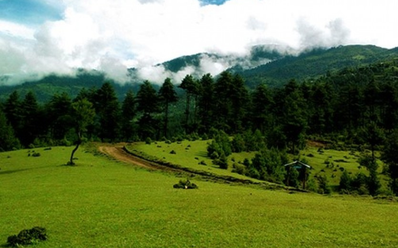 Nepal Traveller | Nepal's most visited website | A website that is ...