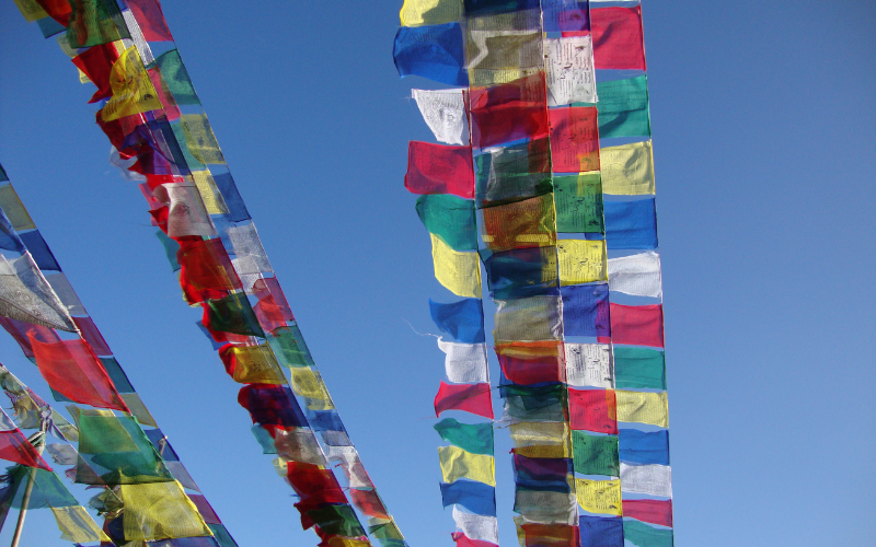 Nepal Traveller | Nepal's most visited website | A website that is ...